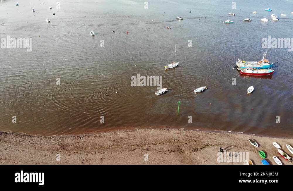 Devon bank Stock Videos & Footage - HD and 4K Video Clips - Alamy