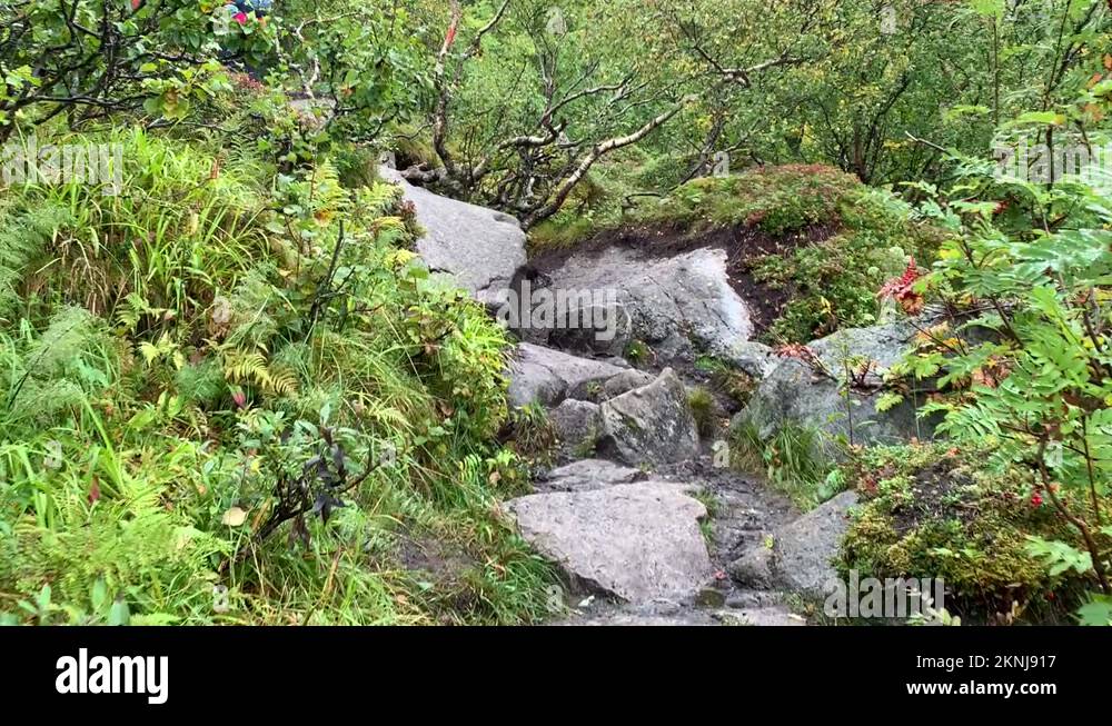 Rugged equipment Stock Videos & Footage - HD and 4K Video Clips - Alamy