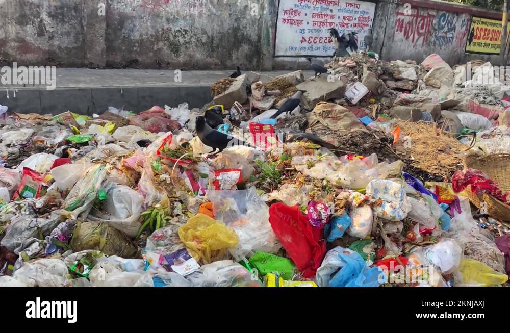 Animal waste management Stock Videos & Footage - HD and 4K Video Clips ...