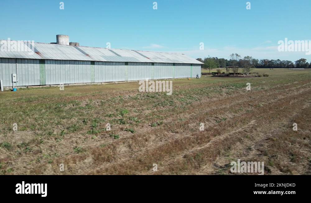 Farmland barn Stock Videos & Footage - HD and 4K Video Clips - Alamy