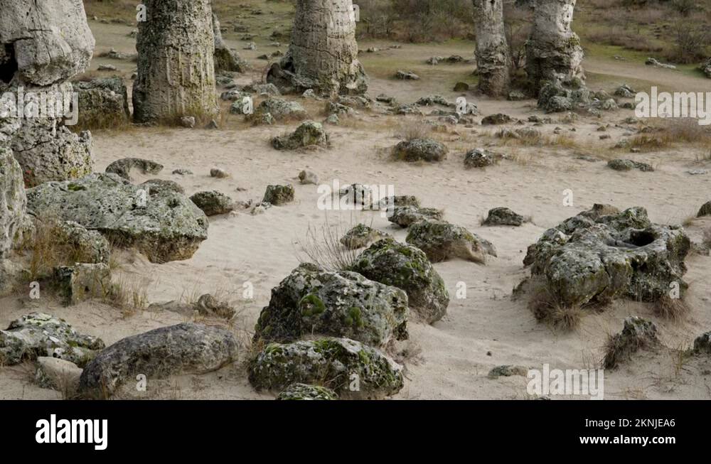 Column structures Stock Videos & Footage - HD and 4K Video Clips - Alamy