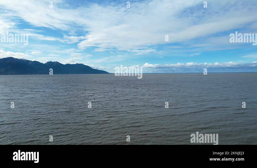 Flying over ocean at Turnagain arm Alaska with Beluga Whale Stock Video ...