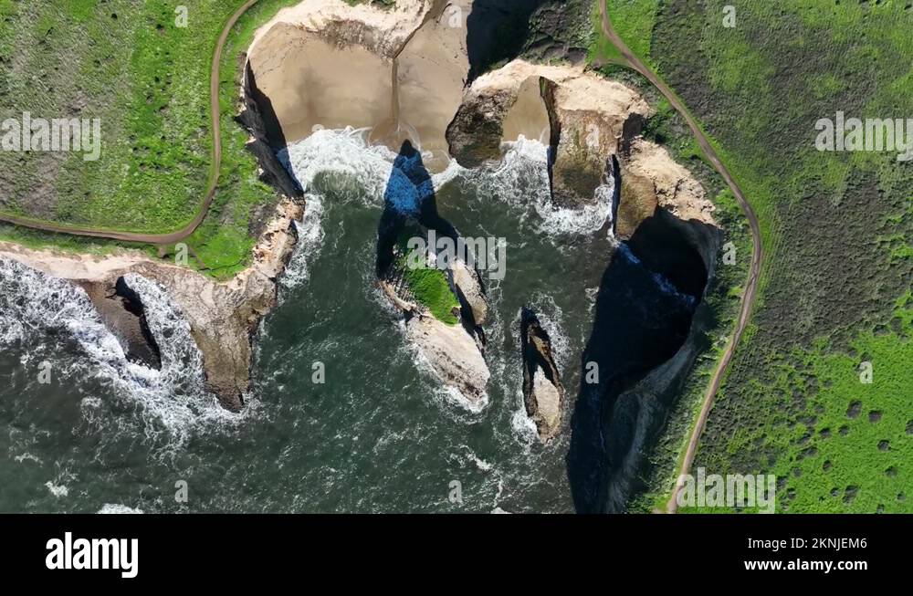 Shark top view Stock Videos & Footage - HD and 4K Video Clips - Alamy