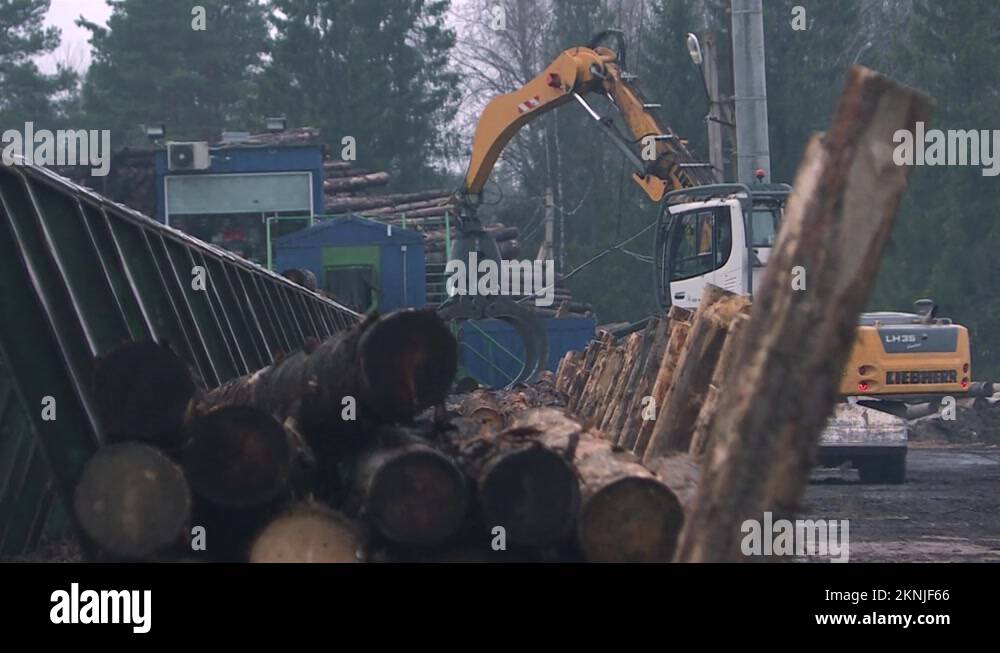 A logging machine transports logs to a stack Stock Video Footage - Alamy