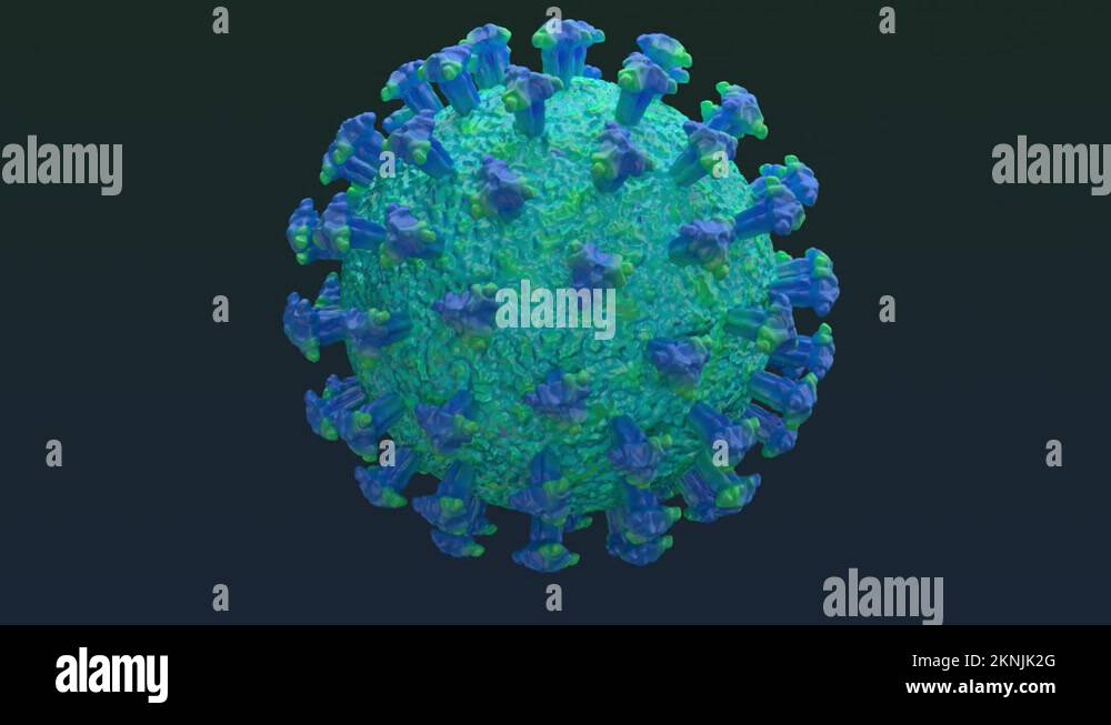 SARS-CoV-2 virion rotating. Spike proteins white are anchored on the ...