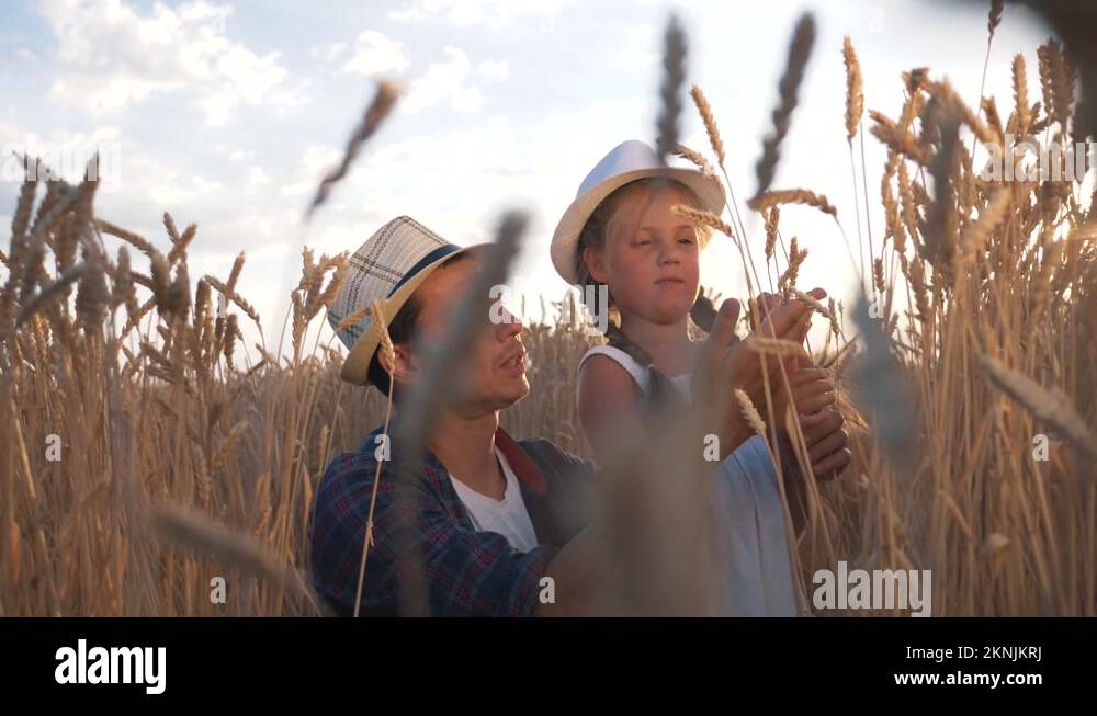 Farming in family. Farmer father teaches his daughter in wheat field ...