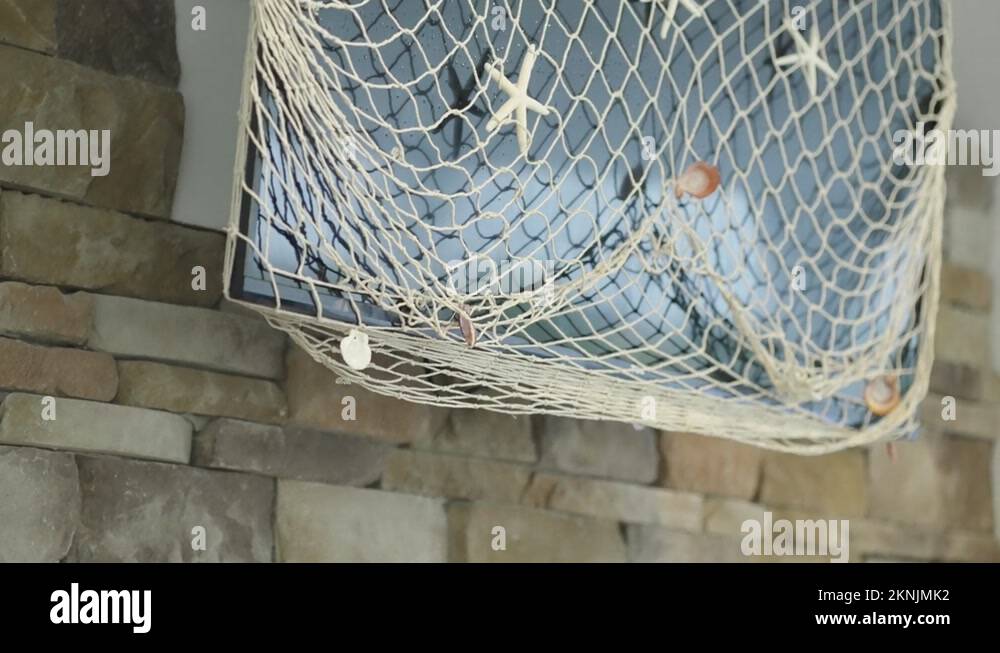 Flora netting Stock Videos & Footage - HD and 4K Video Clips - Alamy