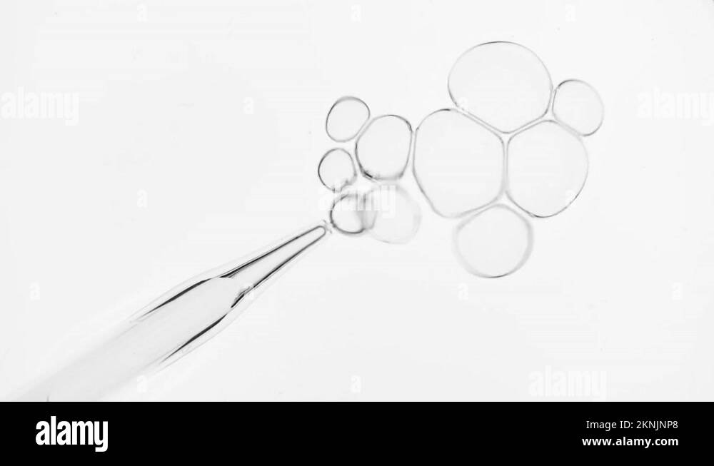 Bubbles come out from dropper and float on surface of liquid Stock ...