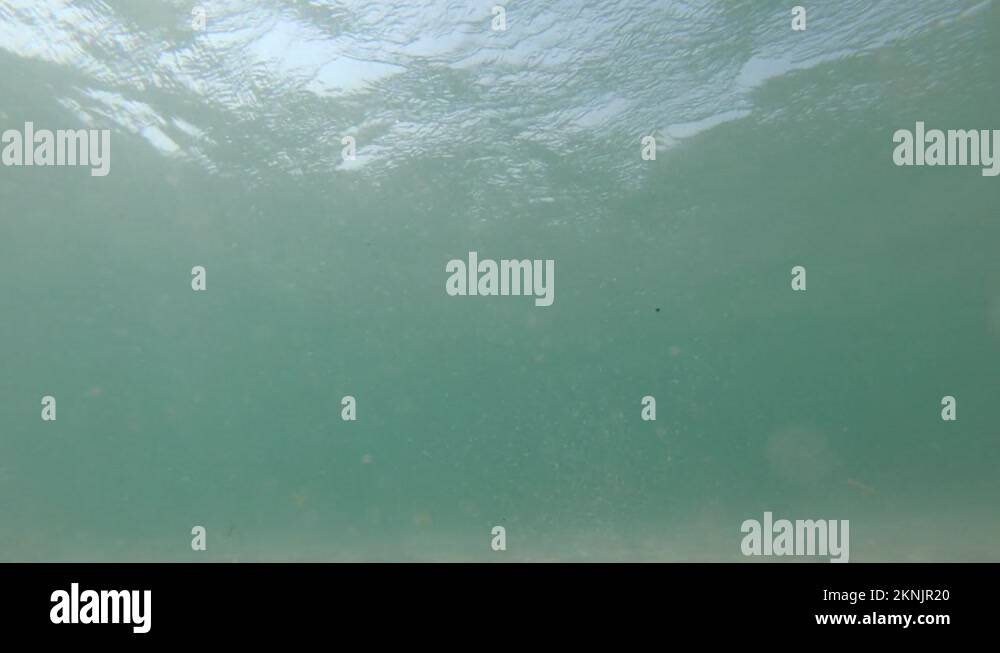 View beneath ocean surface Stock Videos & Footage - HD and 4K Video ...