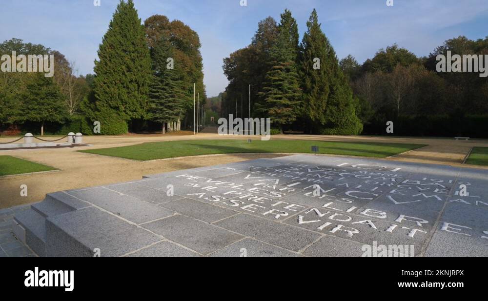 Ww1 armistice 1918 Stock Videos & Footage - HD and 4K Video Clips - Alamy