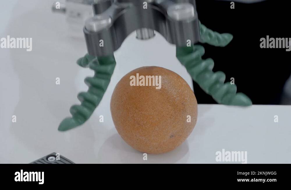 Squeeze instrument Stock Videos & Footage - HD and 4K Video Clips - Alamy