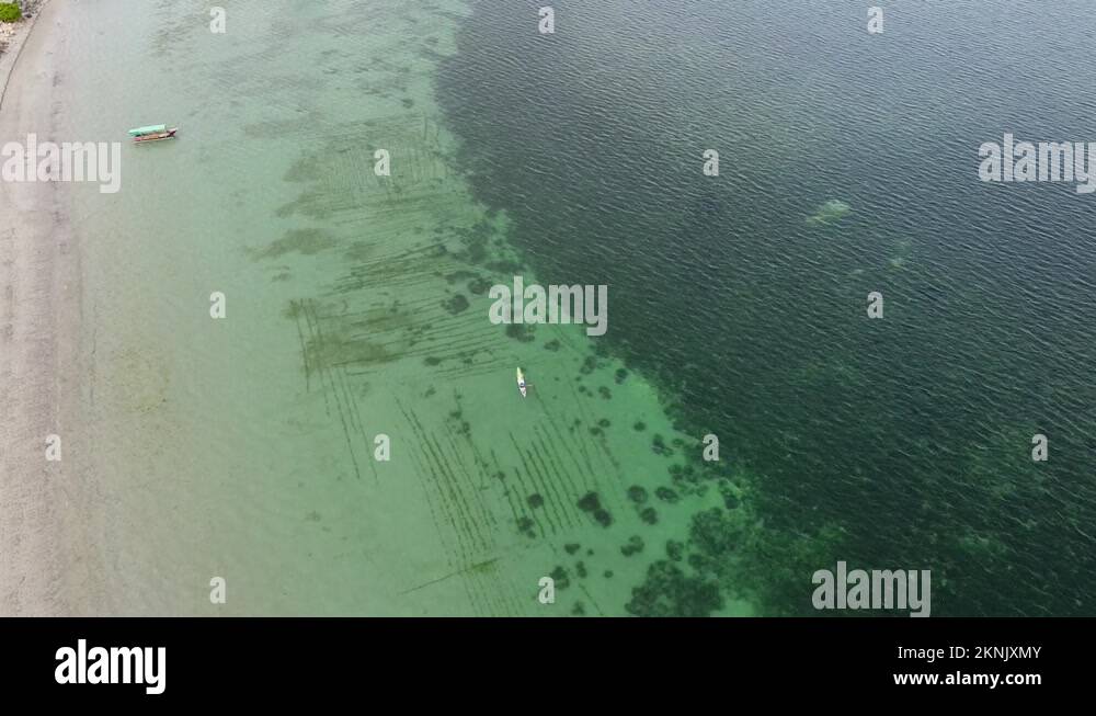 Ocean seaweed boat Stock Videos & Footage - HD and 4K Video Clips - Alamy