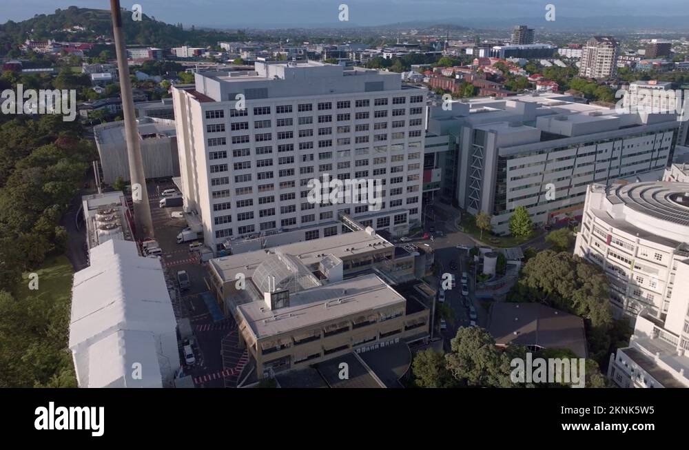 Auckland Hospital Number Of Beds at Tracy Dibenedetto blog