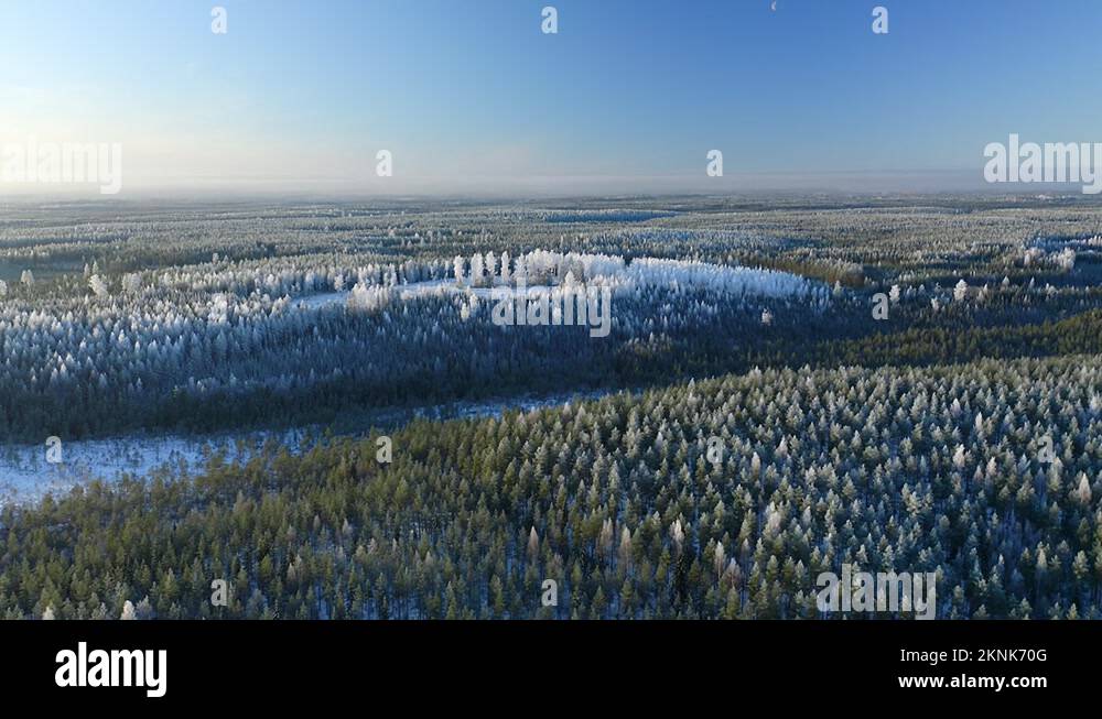 Winter scene spruce trees shadows Stock Videos & Footage - HD and 4K ...