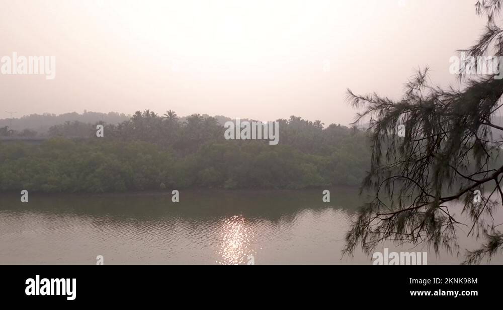 Rainforest At Tropical Shore Of Talpona River In Arabian Sea, South Goa ...
