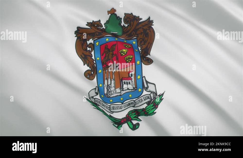 Michoacan flag Stock Videos & Footage - HD and 4K Video Clips - Alamy