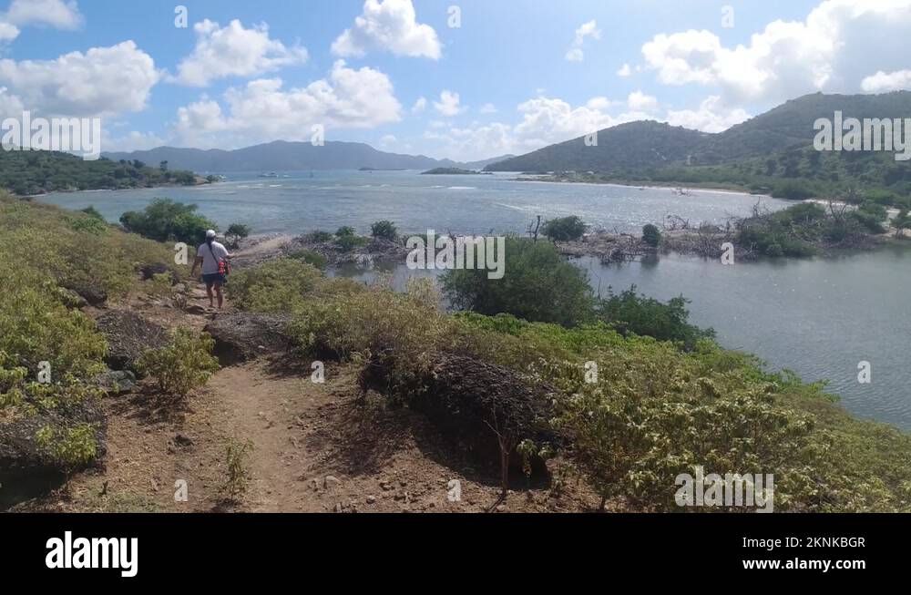 Jost van Stock Videos & Footage - HD and 4K Video Clips - Alamy