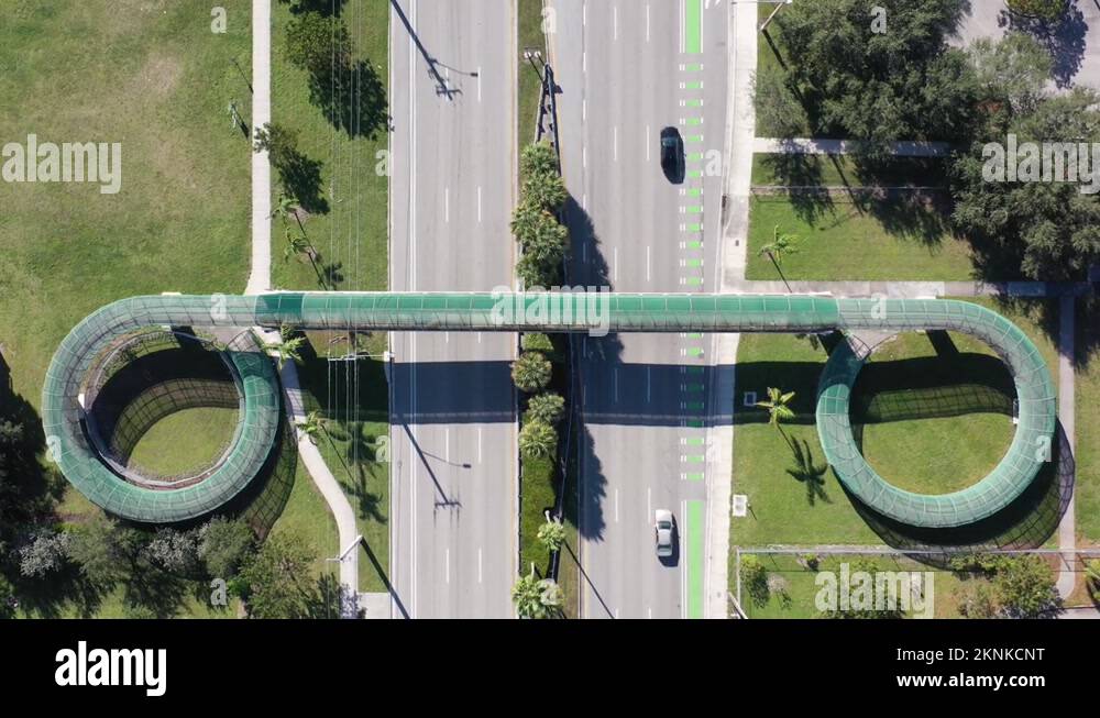 An aerial view directly over a pedestrian walkway which crosses a six ...