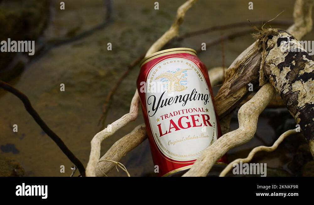 Traditional lager beer in Stock Videos & Footage - HD and 4K Video ...