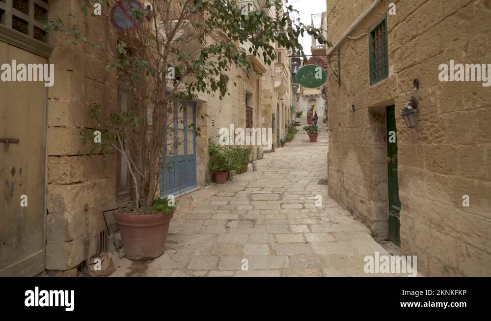 Narrow Alley Stone Street with Big Beautiful Plant and Traffic Signs in ...