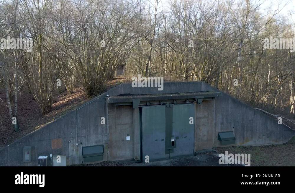 Hidden bunker forest Stock Videos & Footage - HD and 4K Video Clips - Alamy