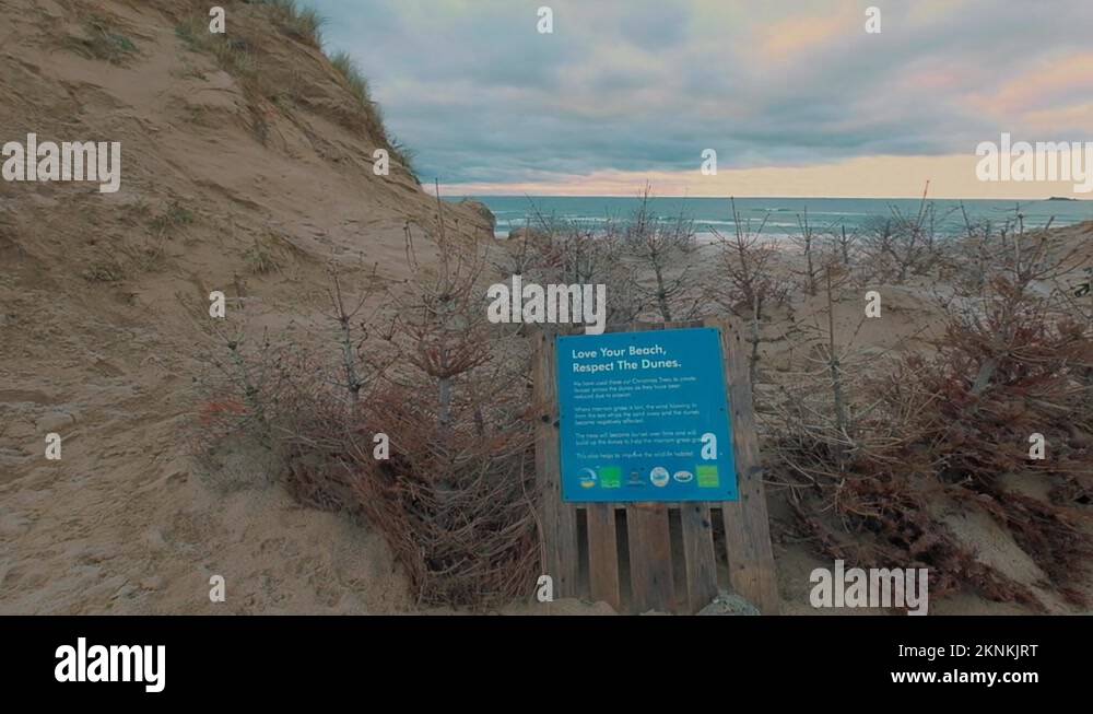 Cornwall trees Stock Videos & Footage - HD and 4K Video Clips - Alamy