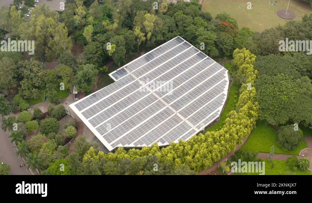 Rooftop aerial birds Stock Videos & Footage - HD and 4K Video Clips - Alamy