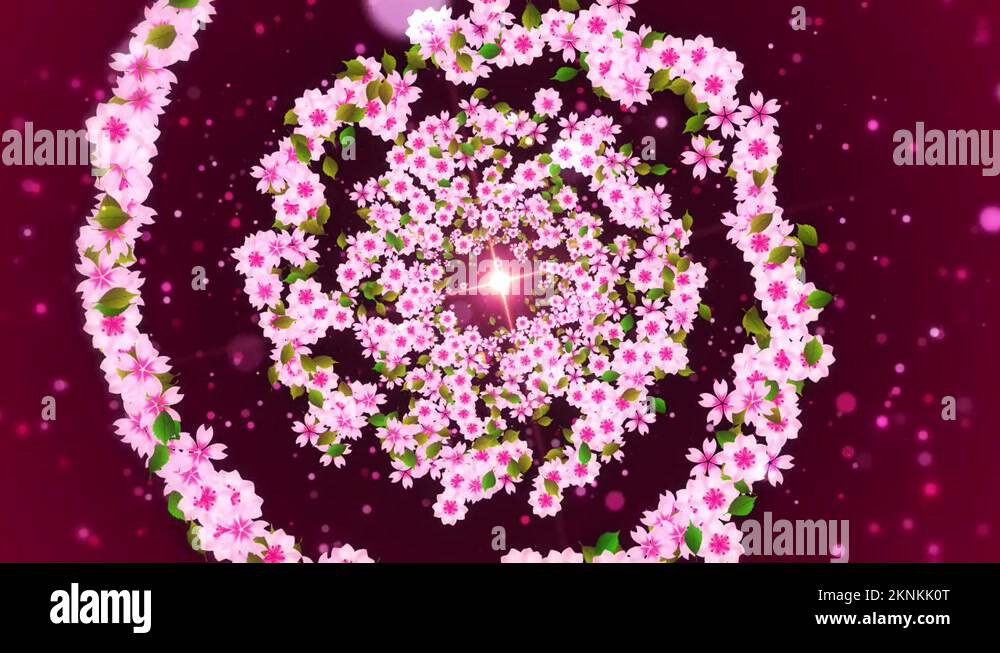 Blossom burst Stock Videos & Footage - HD and 4K Video Clips - Alamy
