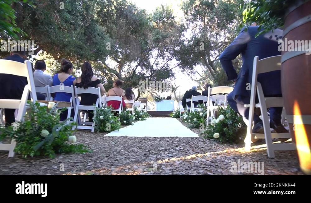 Invitados Stock Videos & Footage - HD and 4K Video Clips - Alamy