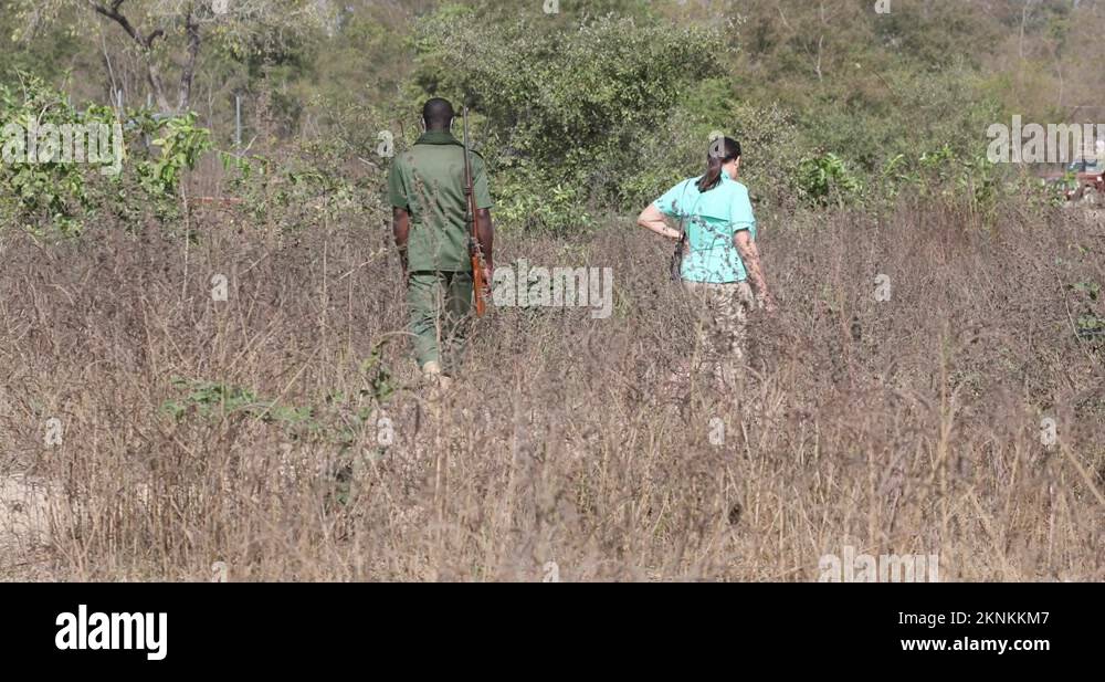 Safari guide woman Stock Videos & Footage - HD and 4K Video Clips - Alamy