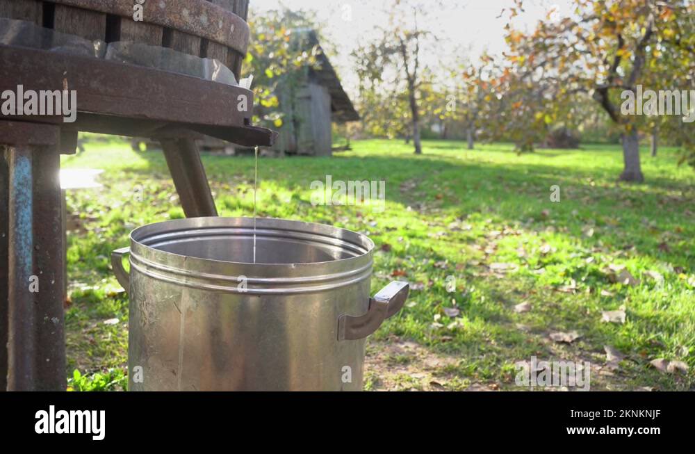 Harvesting fruit juice at home using into a metal tank old method ...