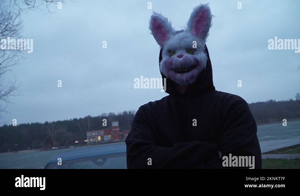 Scary rabbit Stock Videos & Footage - HD and 4K Video Clips - Alamy