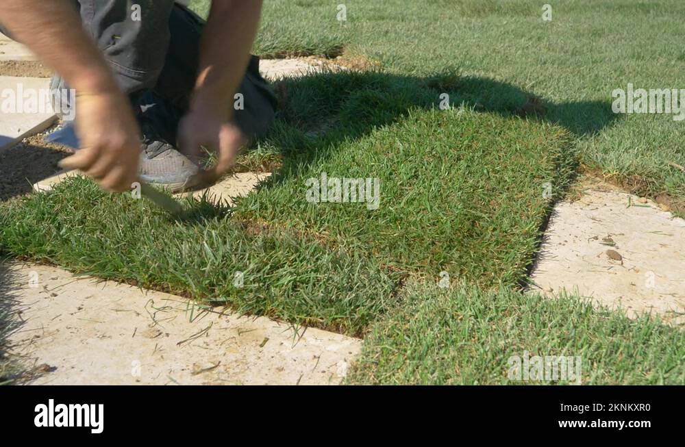 Grass for landscaping Stock Videos & Footage - HD and 4K Video Clips ...