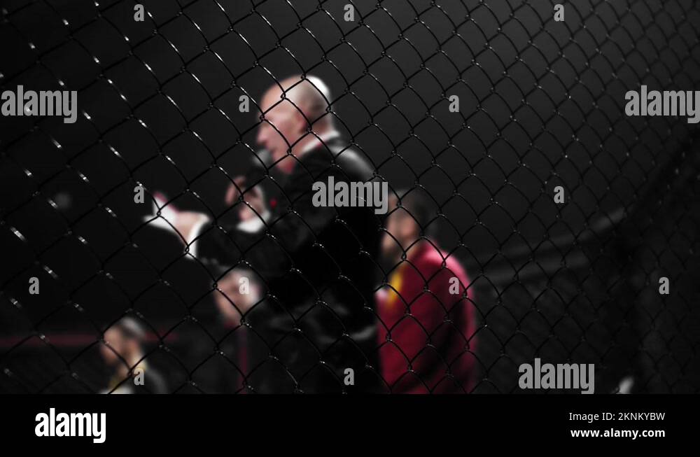 Octagon mesh Stock Videos & Footage - HD and 4K Video Clips - Alamy
