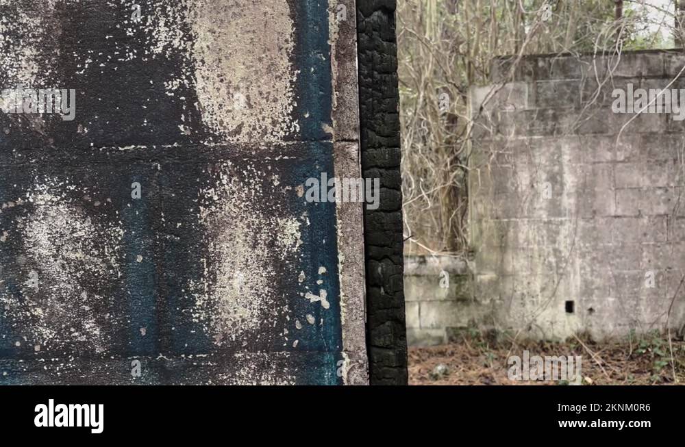 Pan of old spooky overgrown block ruins in the forest interior reveal ...