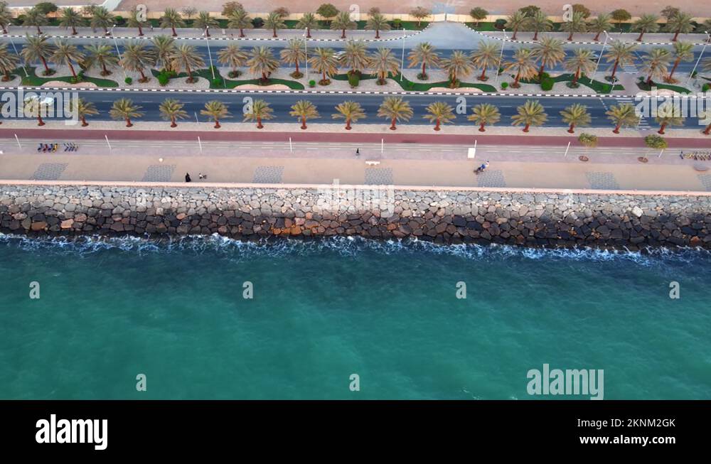 Coastal road with palm trees and running track in Marjan Island in Ras ...