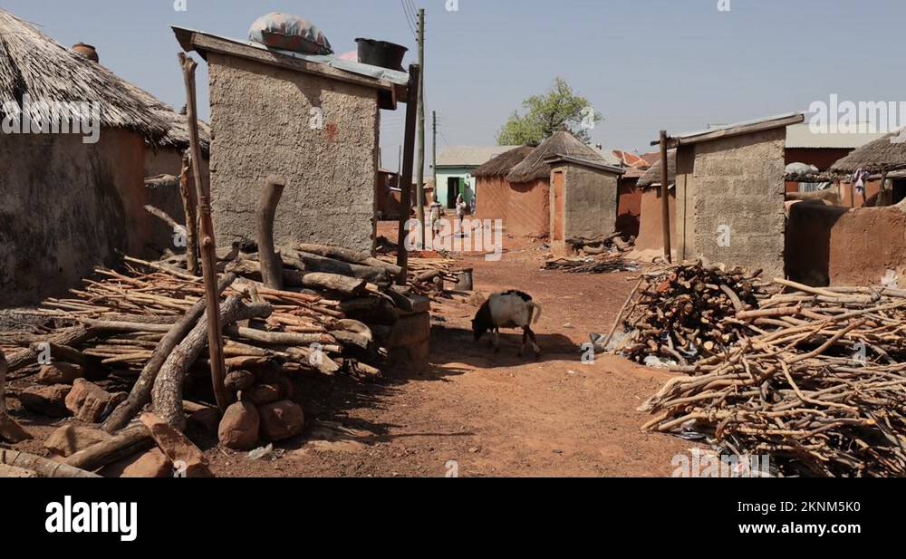 Rural Gambaga village poverty mud homes animals Ghana 4K Stock Video ...