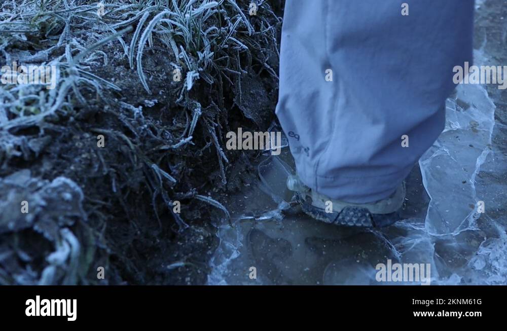 Foot tramples Stock Videos & Footage - HD and 4K Video Clips - Alamy