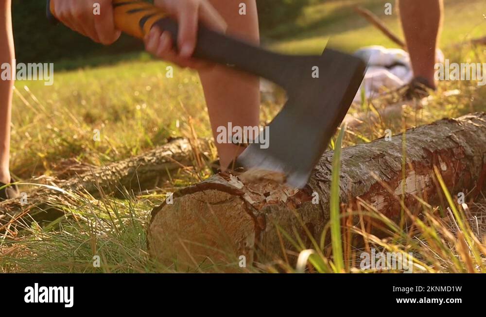 Scout survival Stock Videos & Footage - HD and 4K Video Clips - Alamy