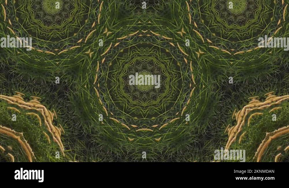Mandala effect of fast moving green natural animation background Stock ...
