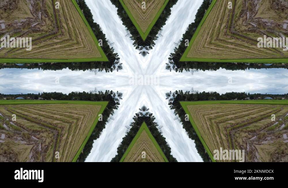 Paddy field illustration Stock Videos & Footage - HD and 4K Video Clips ...