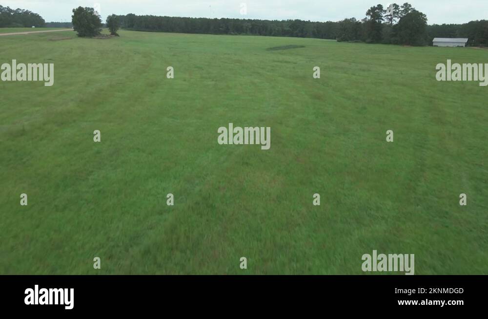 Cutting hay grain Stock Videos & Footage - HD and 4K Video Clips - Alamy