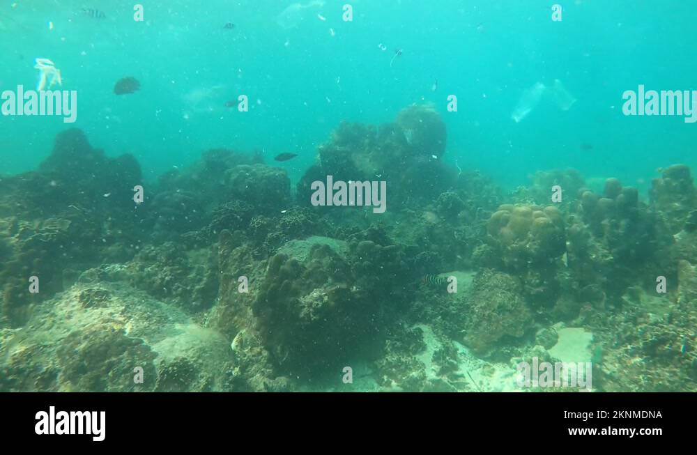 Floating pollutants Stock Videos & Footage - HD and 4K Video Clips - Alamy