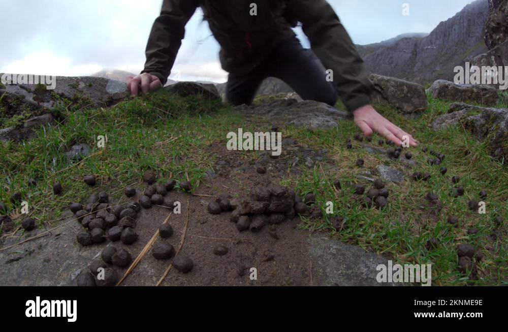 Man falling over Stock Videos & Footage - HD and 4K Video Clips - Alamy