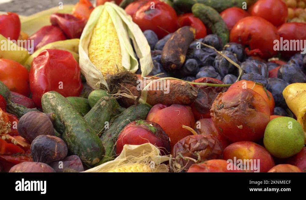 Food waste. A pile of discarded rotten and spoiled fruits and ...
