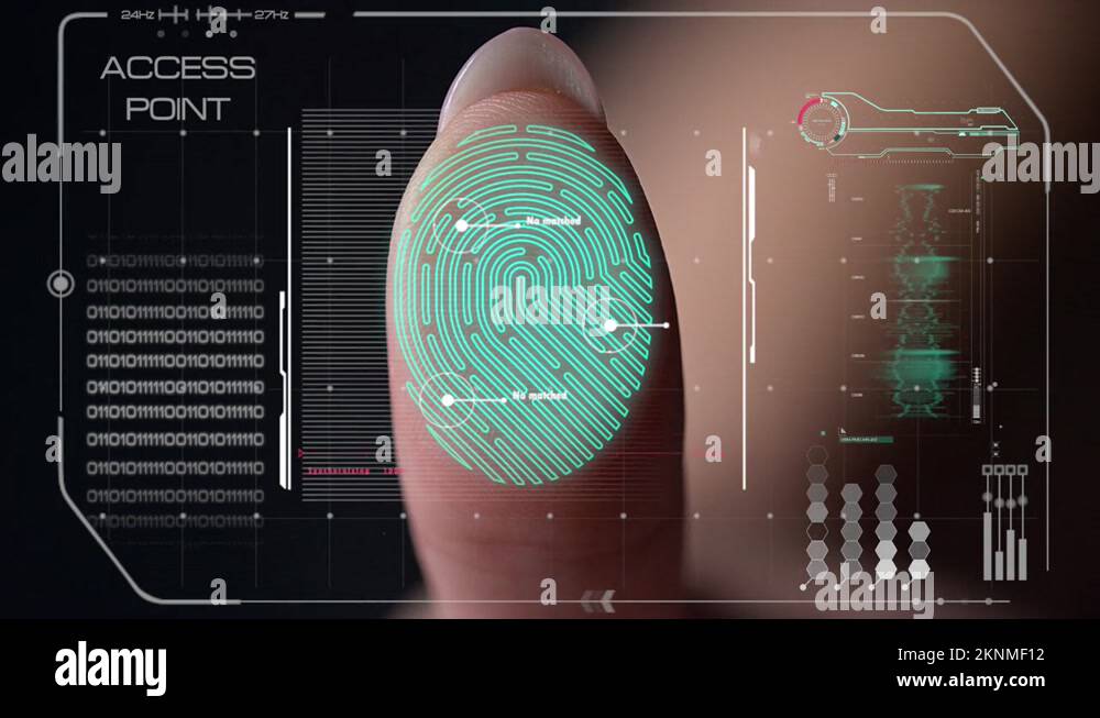 Identification process Stock Videos & Footage - HD and 4K Video Clips ...