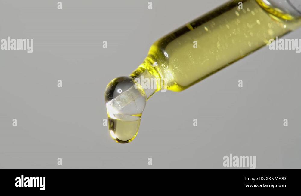 Drops of oil extract dripped from a glass pipette for chemical ...