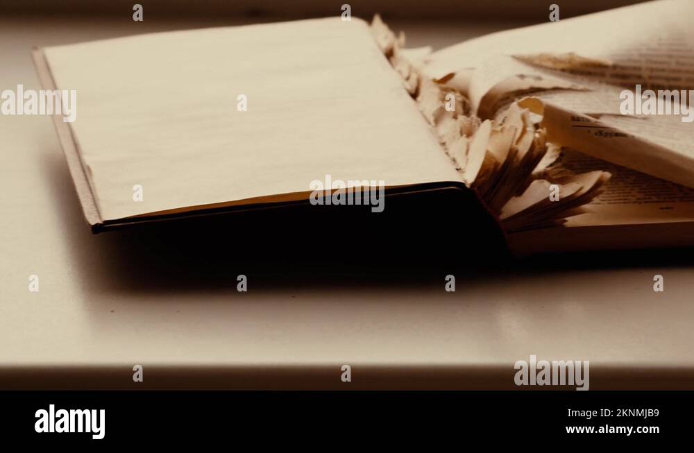 Open book with torn pages lies on table. Concept of censorship ...