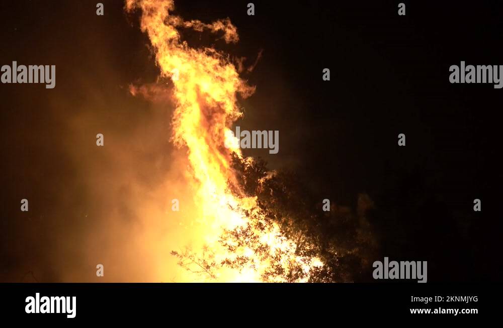 Trees burn Stock Videos & Footage - HD and 4K Video Clips - Alamy