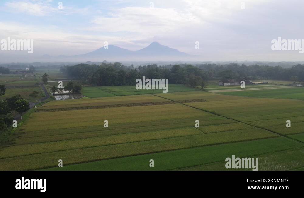 Local wisdom Stock Videos & Footage - HD and 4K Video Clips - Alamy